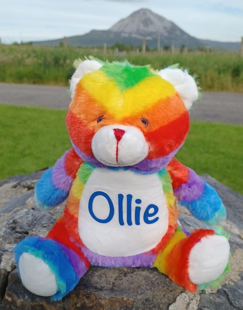 Personalized Teddy Bear – Tj's Teddies